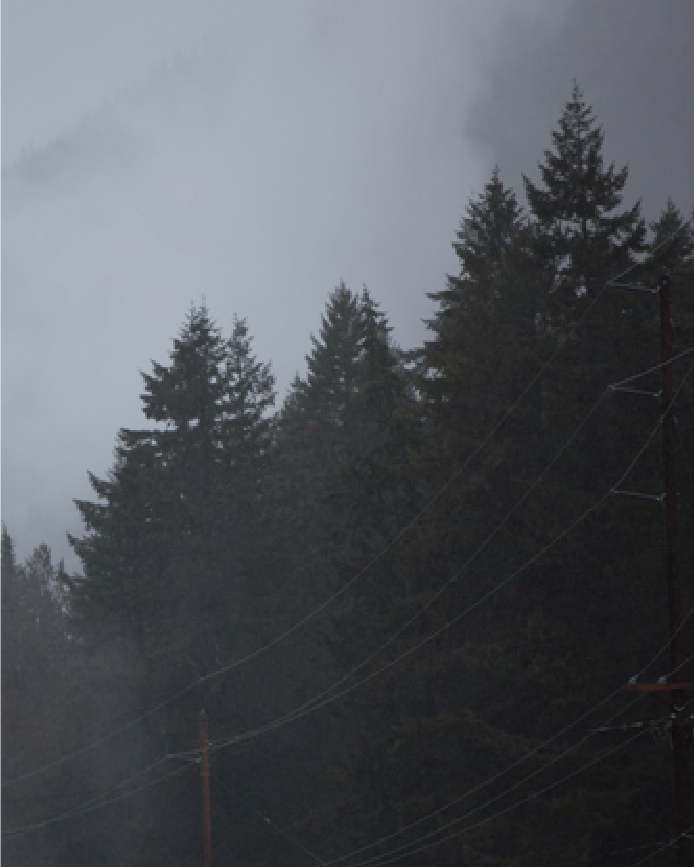 LAMITAK | Cloudy Cement