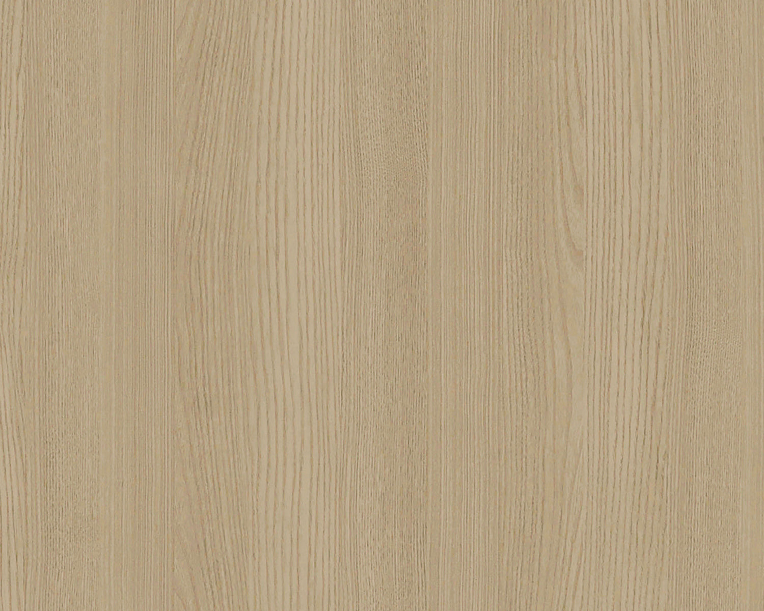 LAMITAK | Hemavan Ash